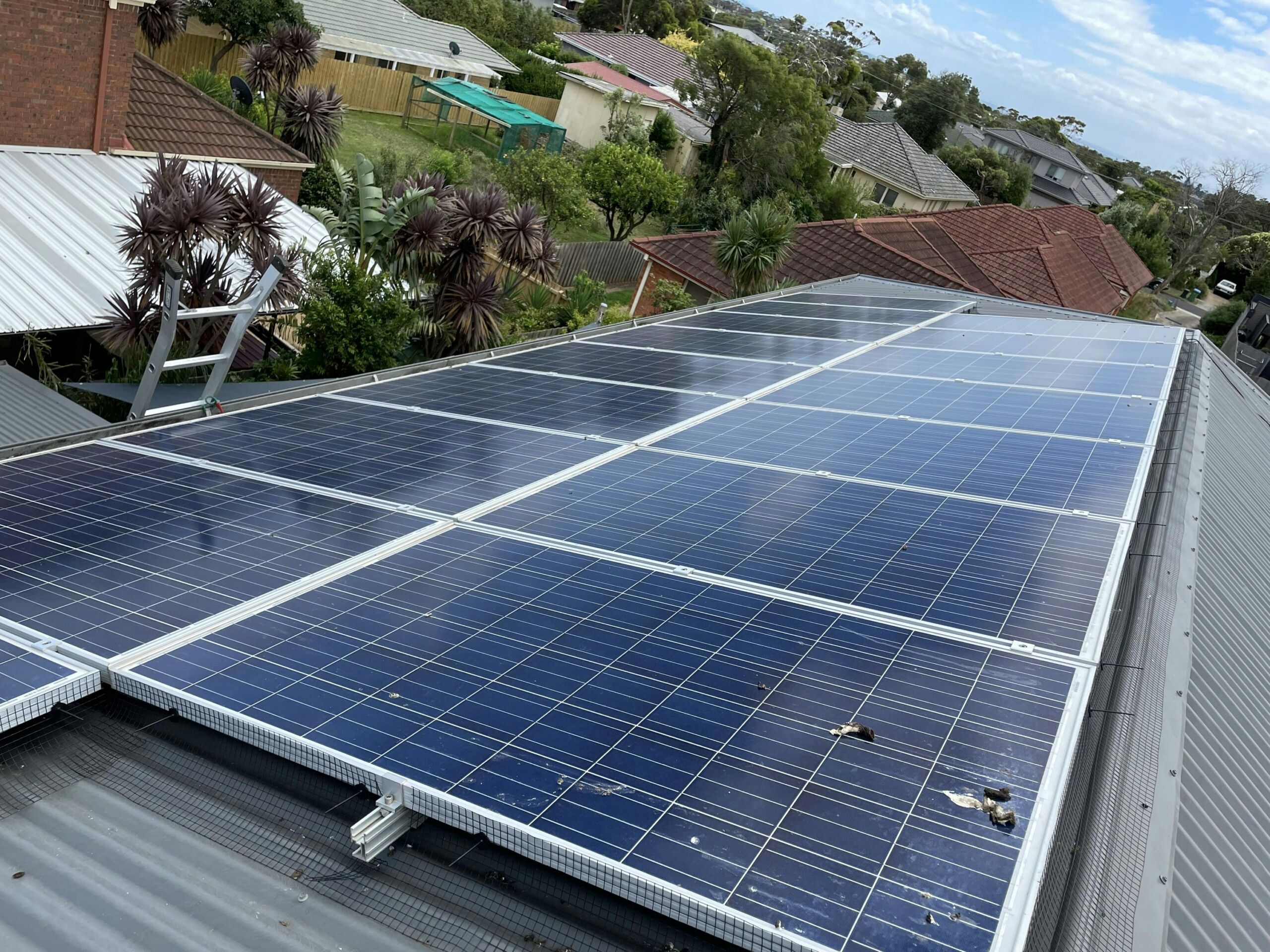 Bird Netting for Solar Panels Installed in Mornington - Mr Gutter Cleaning