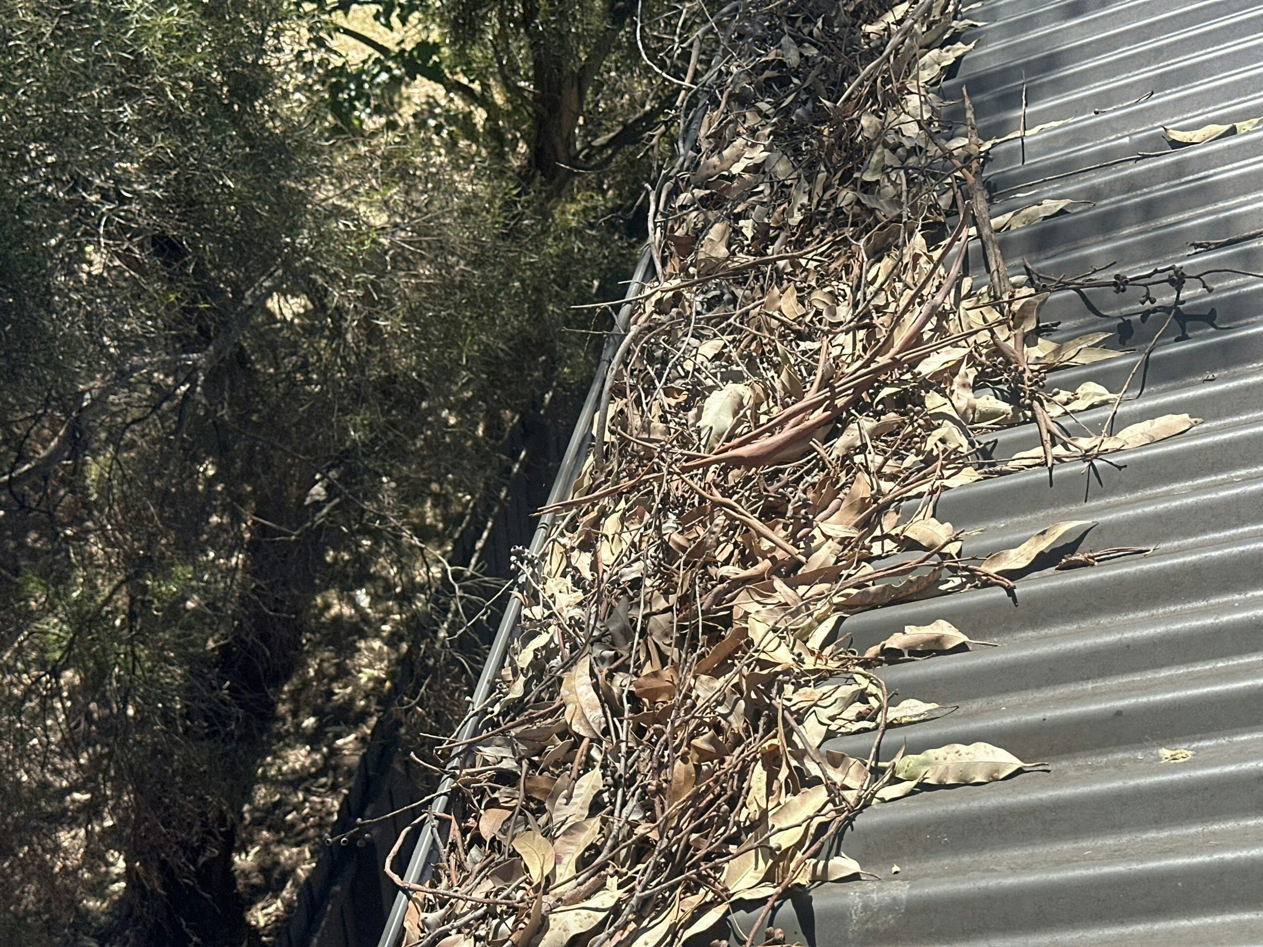 Keeping A Double Storey Townhouse Leaf-Free in Diamond Creek - Mr ...