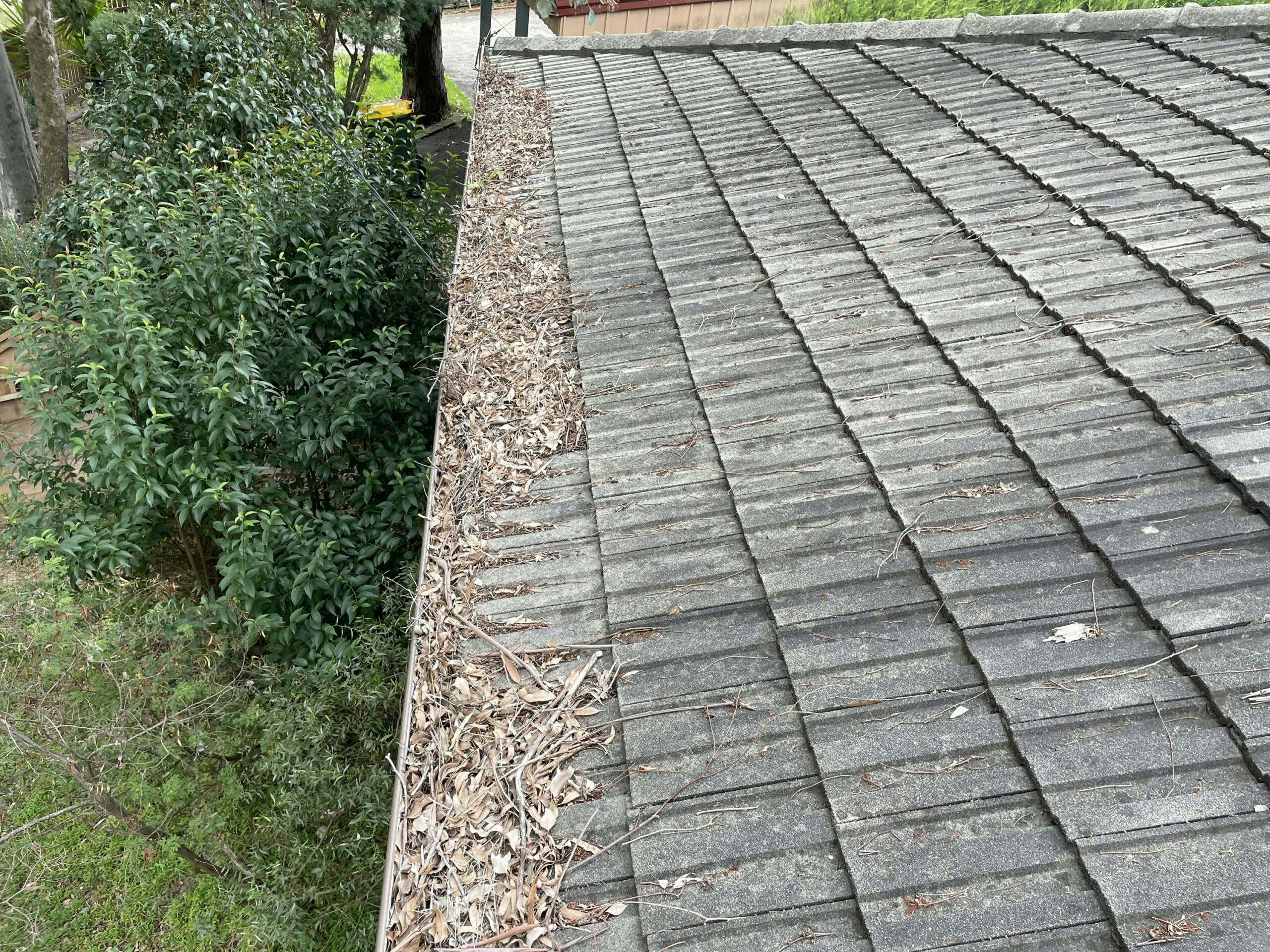 Cleaning Gutters filled with Gum Tree Leaves - Mr Gutter Cleaning