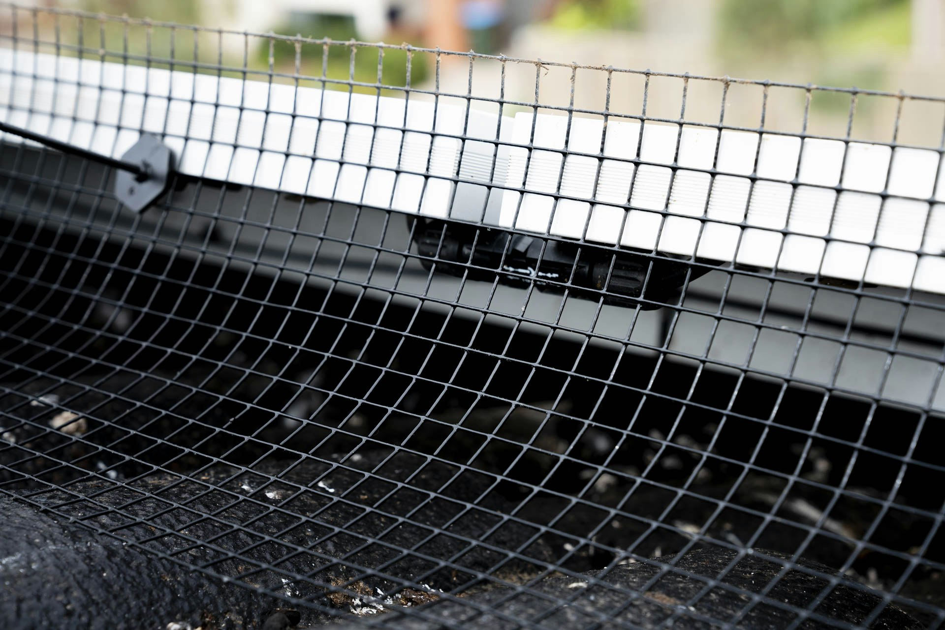 Solar Panel Bird Proofing Services - Mr Gutter Cleaning