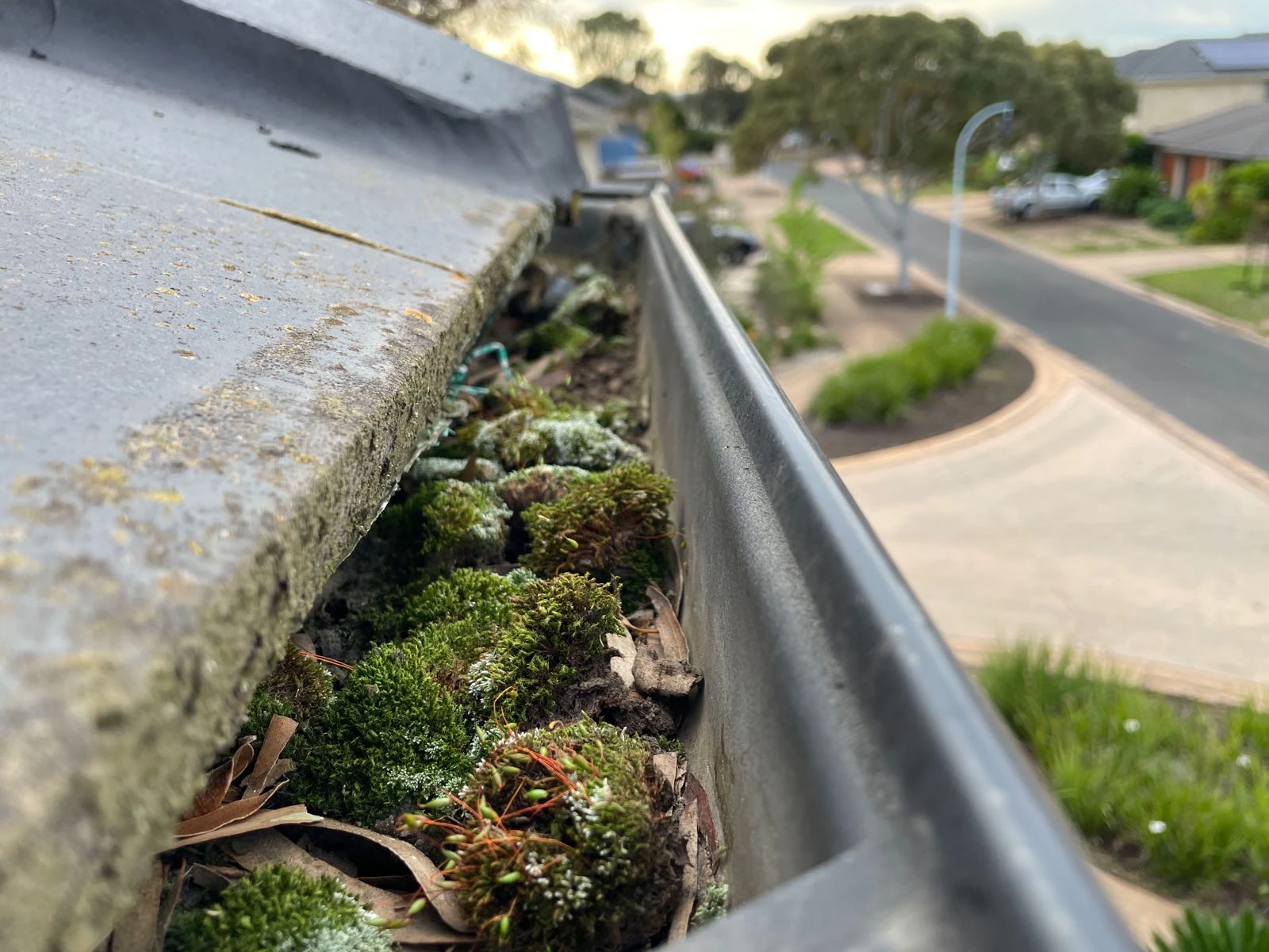 Swift Gutter Cleaning Out In Point Cook - Mr Gutter Cleaning