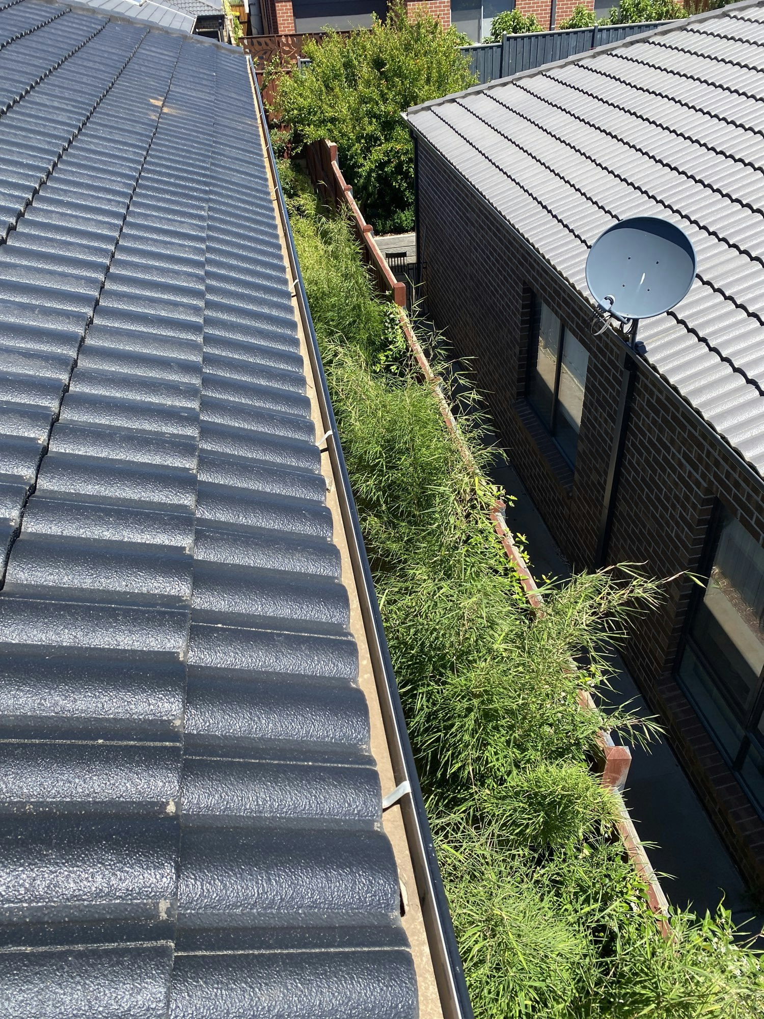 A Happy Customer in Sunbury Trusts Mr Gutter Cleaning - Mr Gutter Cleaning