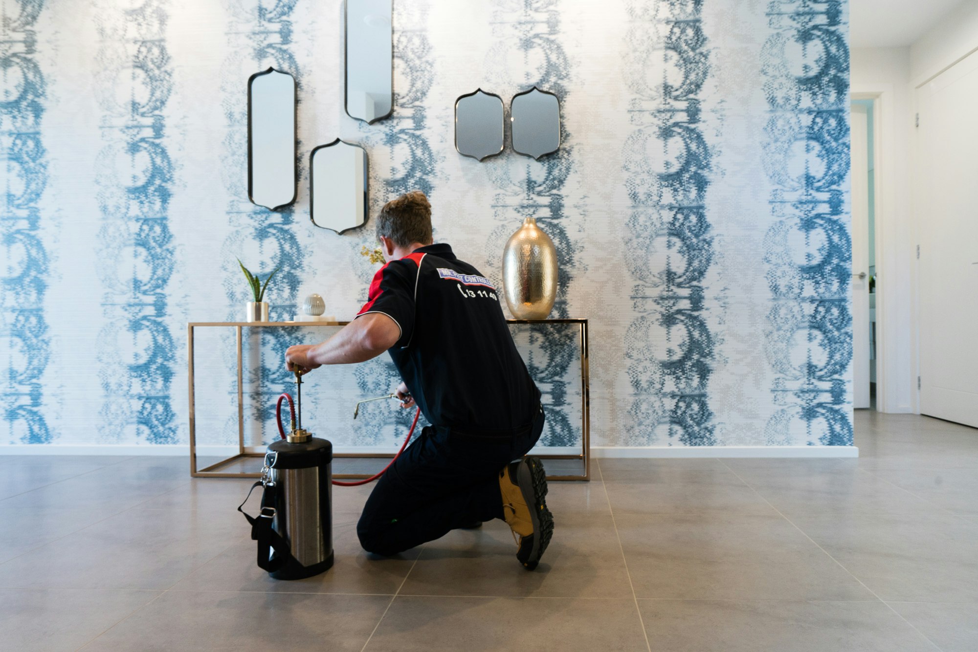 Pest Control Apollo Bay, Victoria 3233