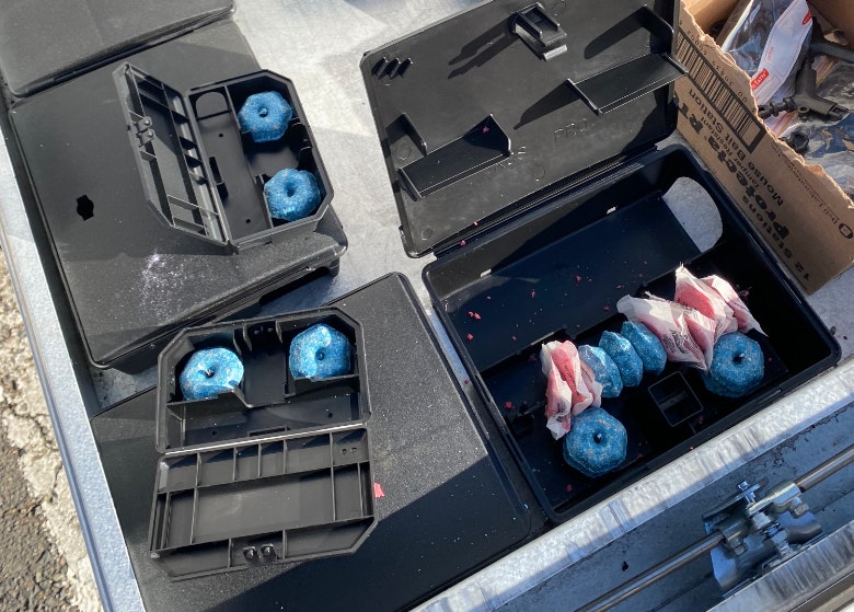 Monthly Rodent Plan Leads to Effective Result - Mr Pest Controller